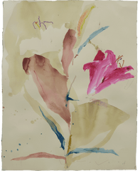 A Wildflower Lily No.2 – Raven Roxanne